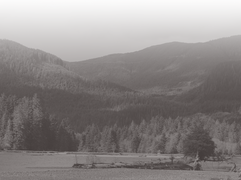 Pacheedaht Government Website