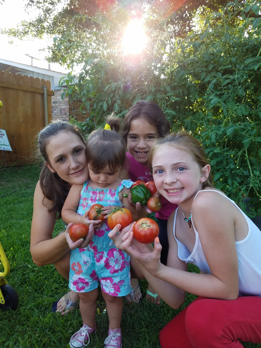 Feeding Families Program — The Food Bank of Central Louisiana
