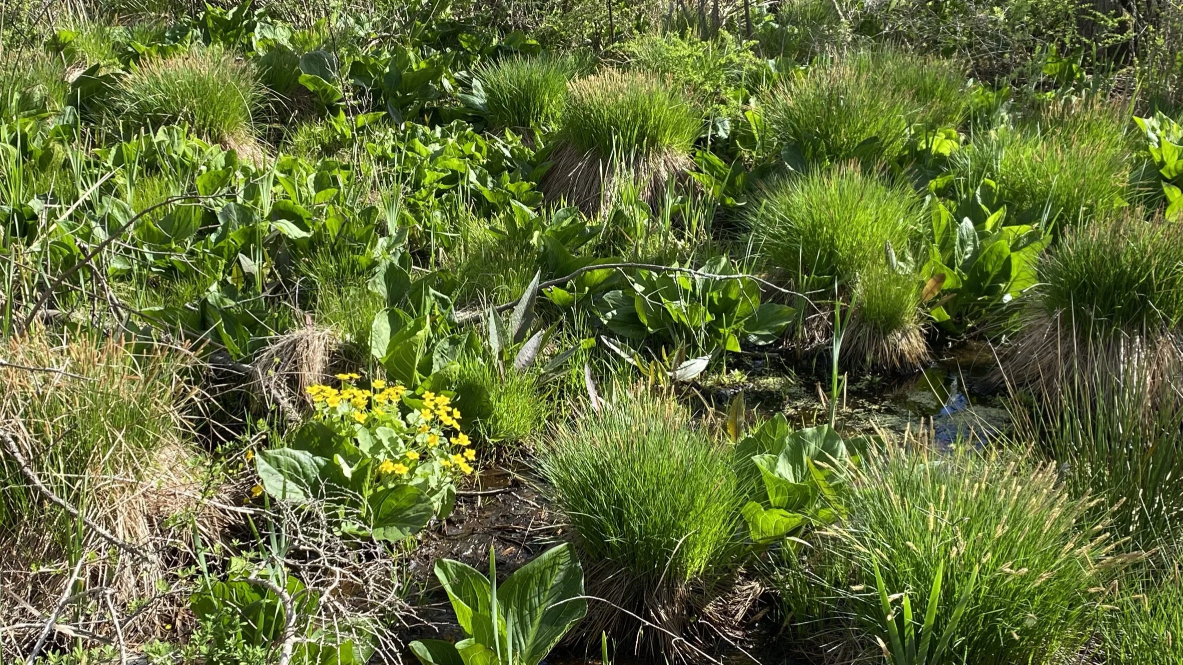 Library — hercules-kenvil