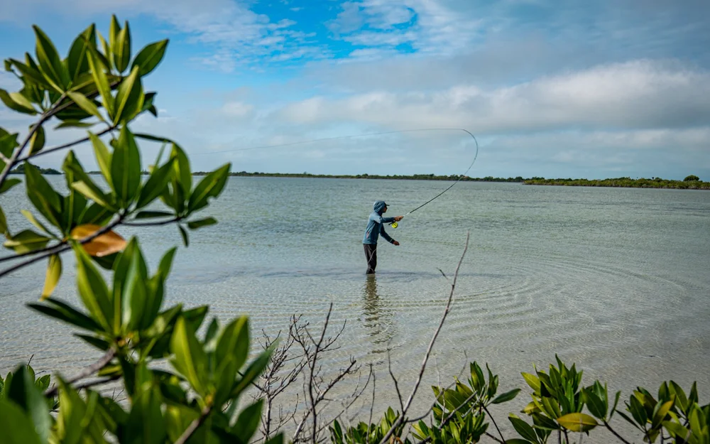 Fish & Fishing — rocky point