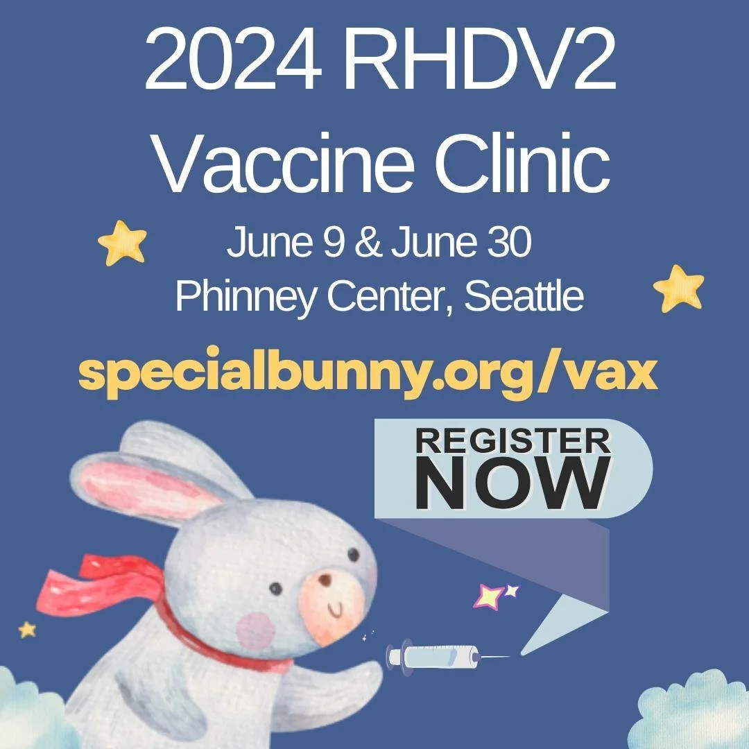 Special Bunny Rabbit Rescue