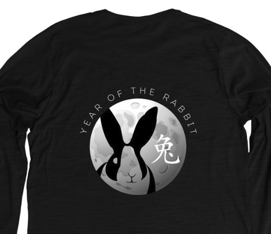 Special Bunny Rabbit Rescue