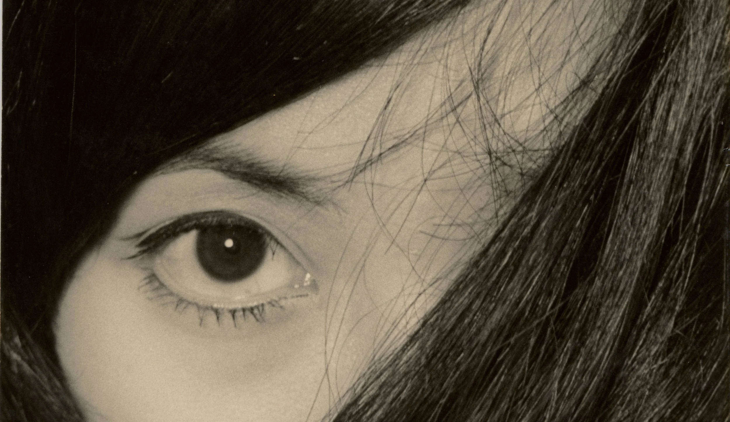 Contact — Tiffany Wai-Ying Beres