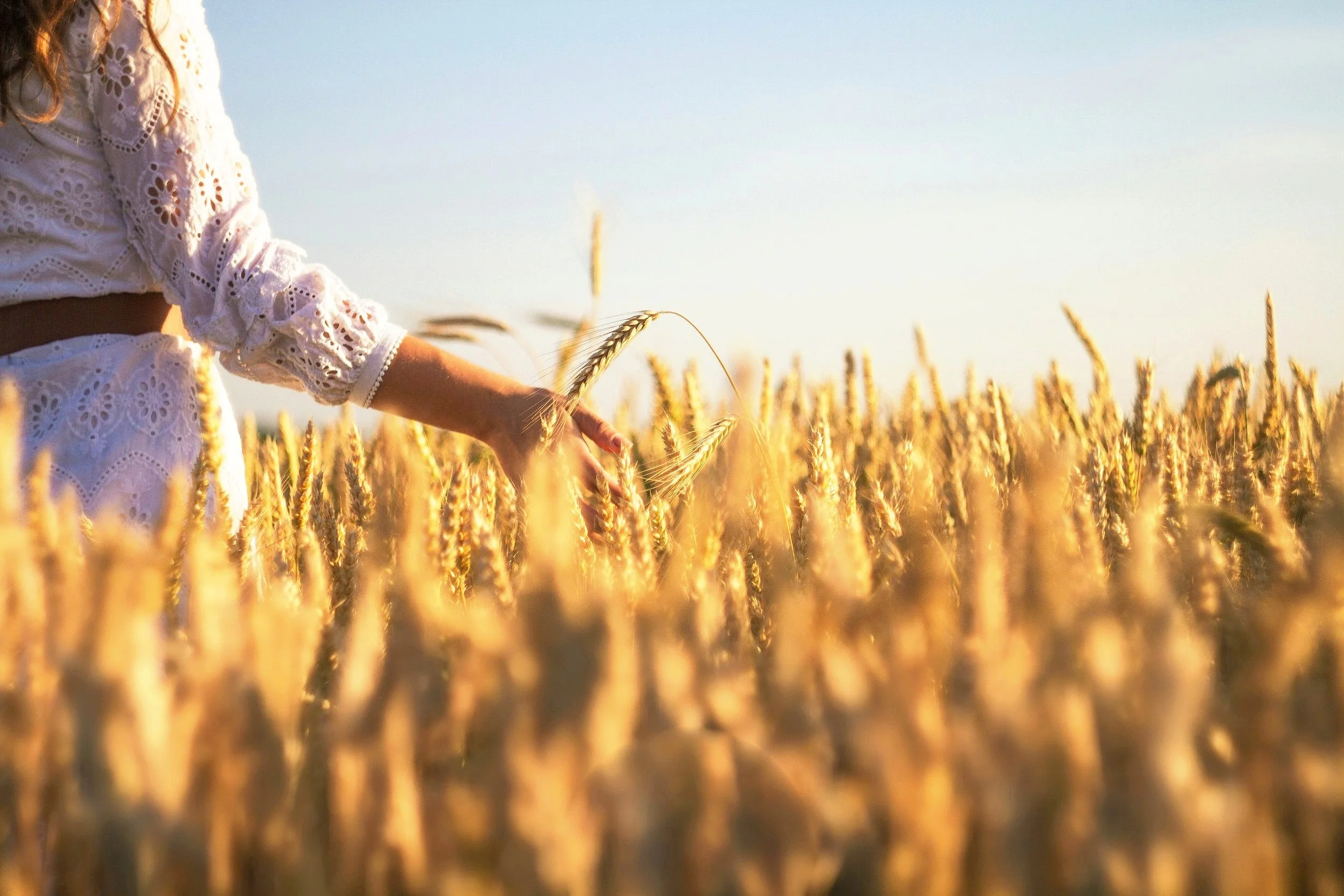 What does the Jewish Feast of Pentecost (Shavuot) celebrate? | The ...