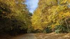 How the spring and fall feasts point to Jesus as Messiah | The Ancient Way