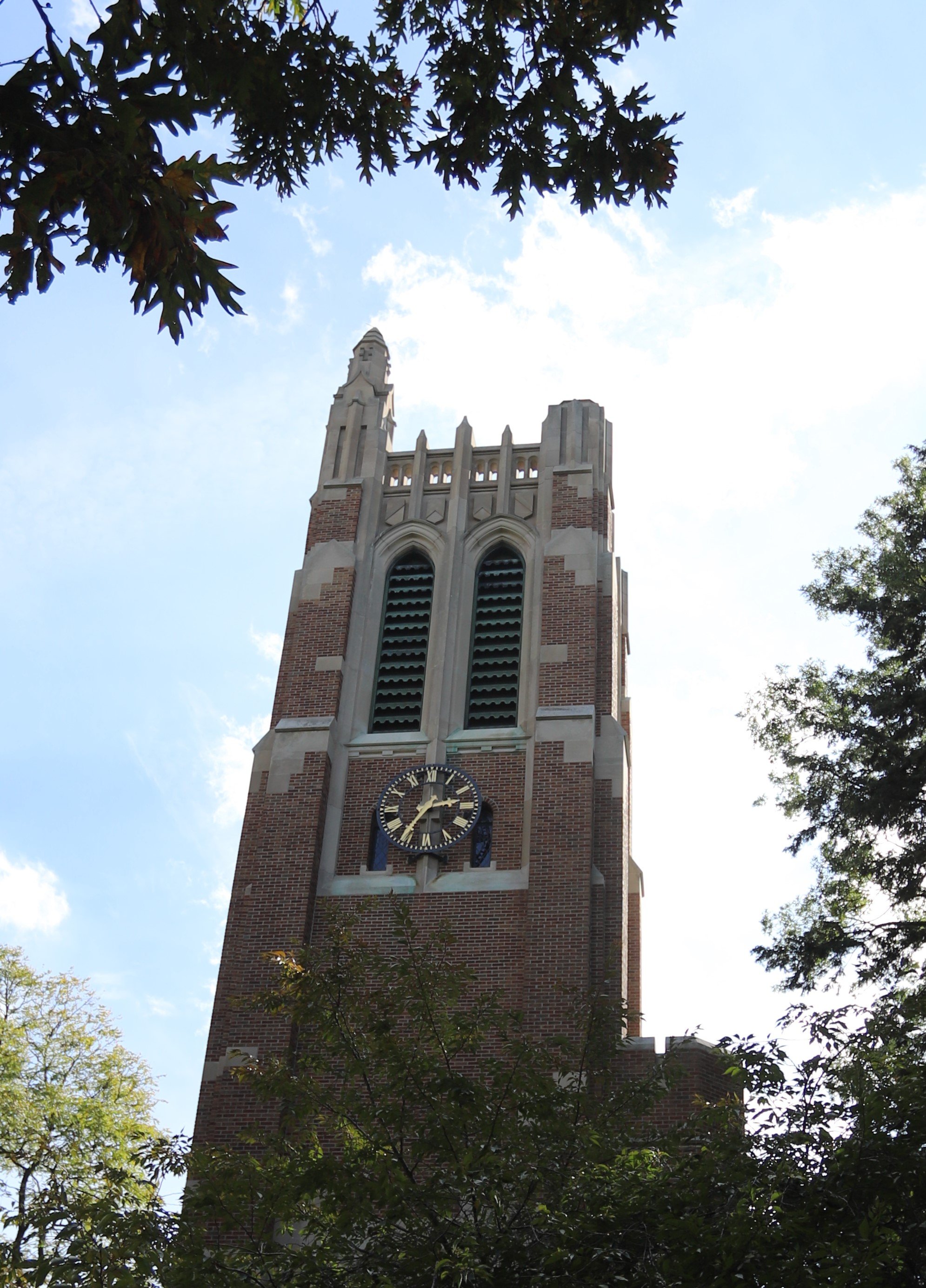 MSU Tenure-System Faculty Core Values — MSU Union of Tenure System Faculty