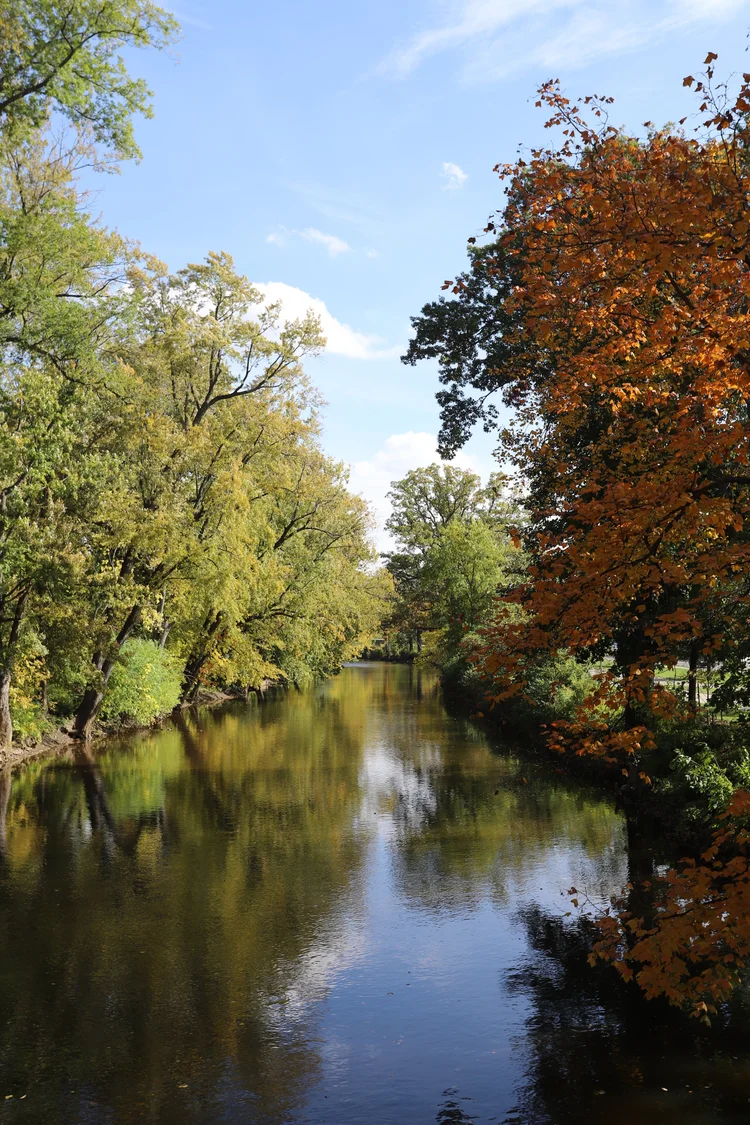 MSU Union of Tenure System Faculty