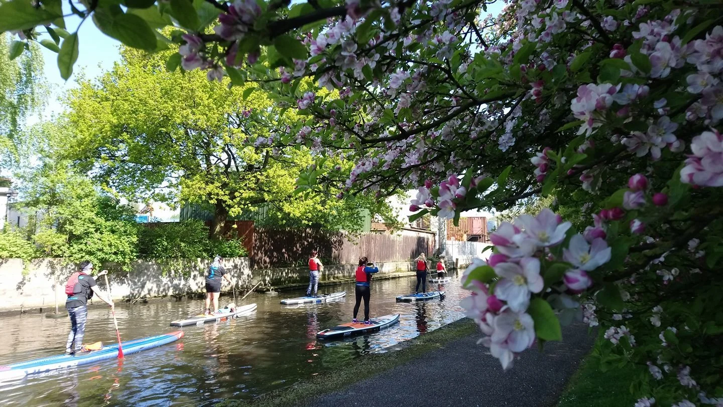 PURE PADDLE — SUPFITNESS