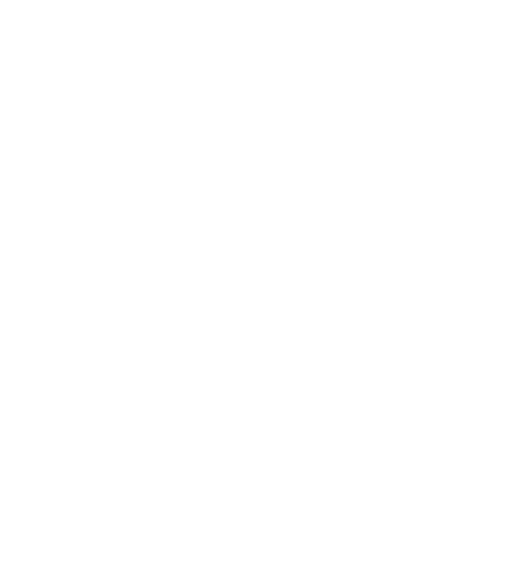 Young Mobility Network