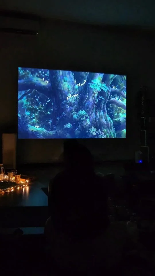 Gentle Walks | Forest Bathing Singapore | Immersive Nature Experiences