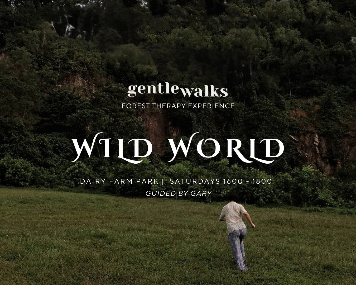Gentle Walks | Forest Bathing Singapore | Immersive Nature Experiences