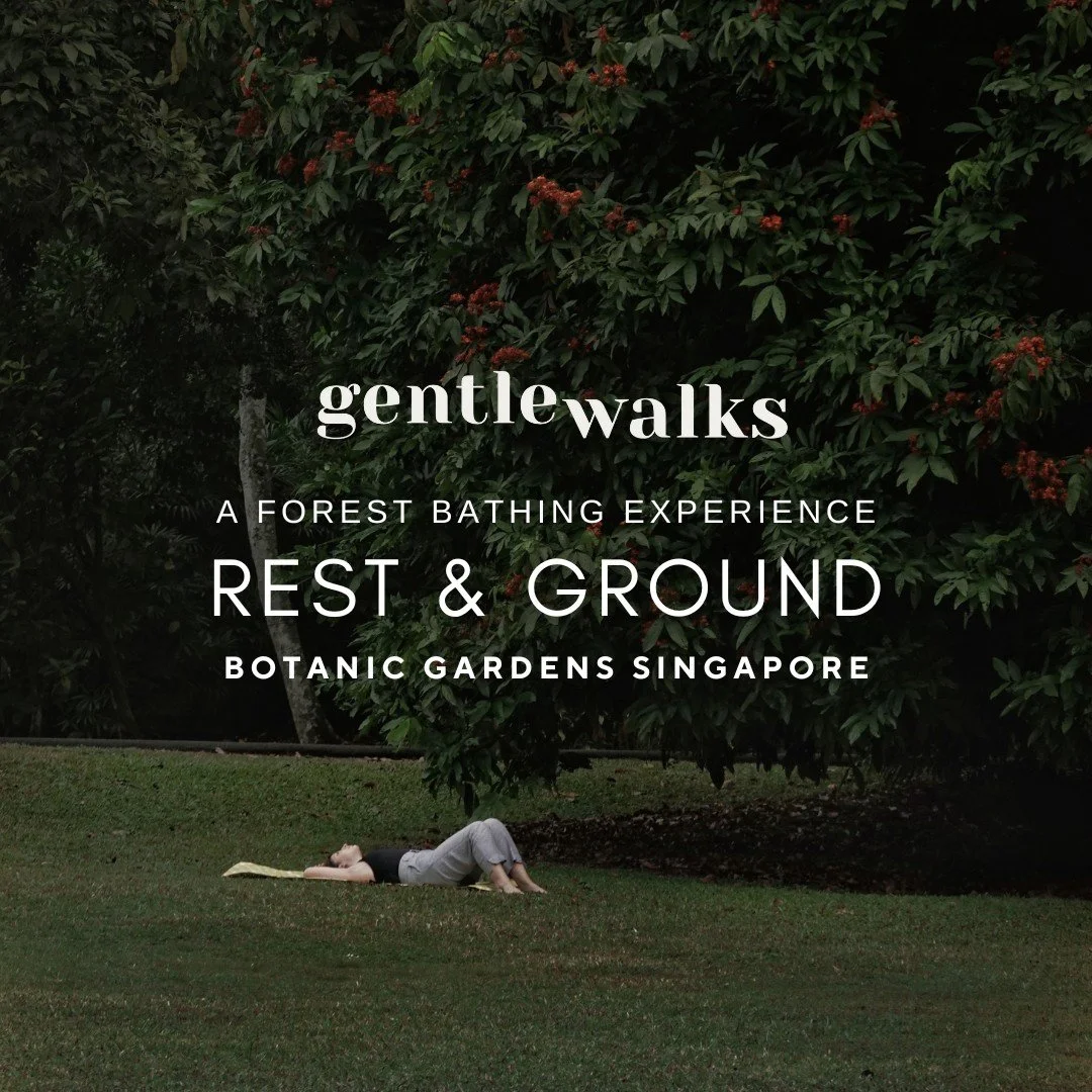 Upcoming Programs — Gentle Walks | Forest Bathing Singapore | Immersive ...