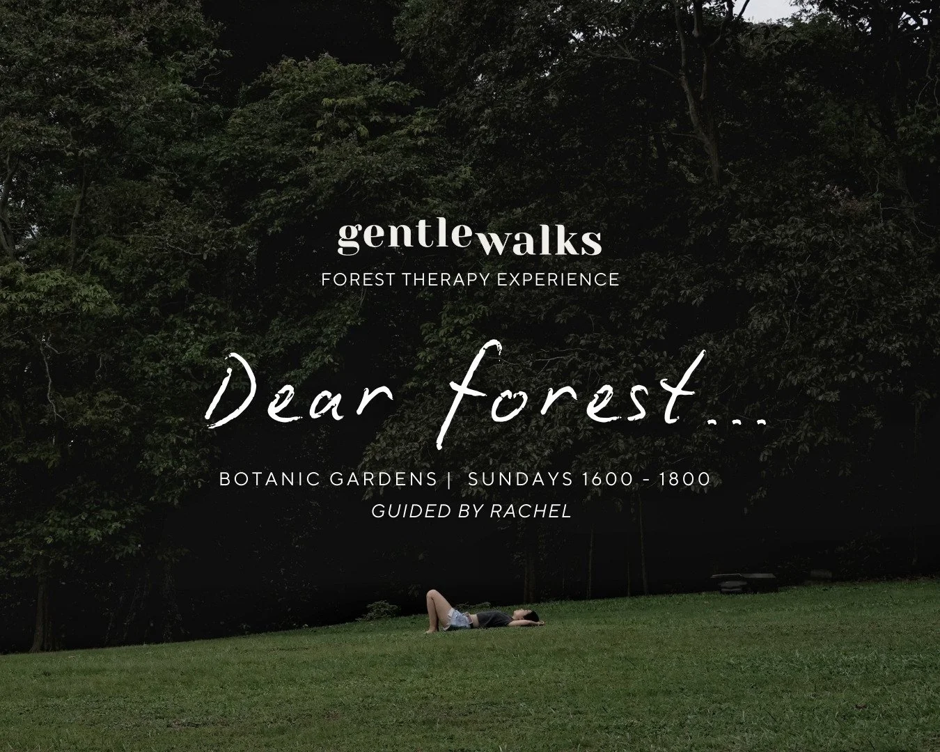 Gentle Walks | Forest Bathing Singapore | Immersive Nature Experiences