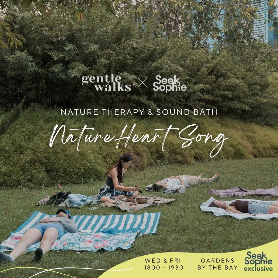 Gentle Walks | Forest Bathing Singapore | Immersive Nature Experiences
