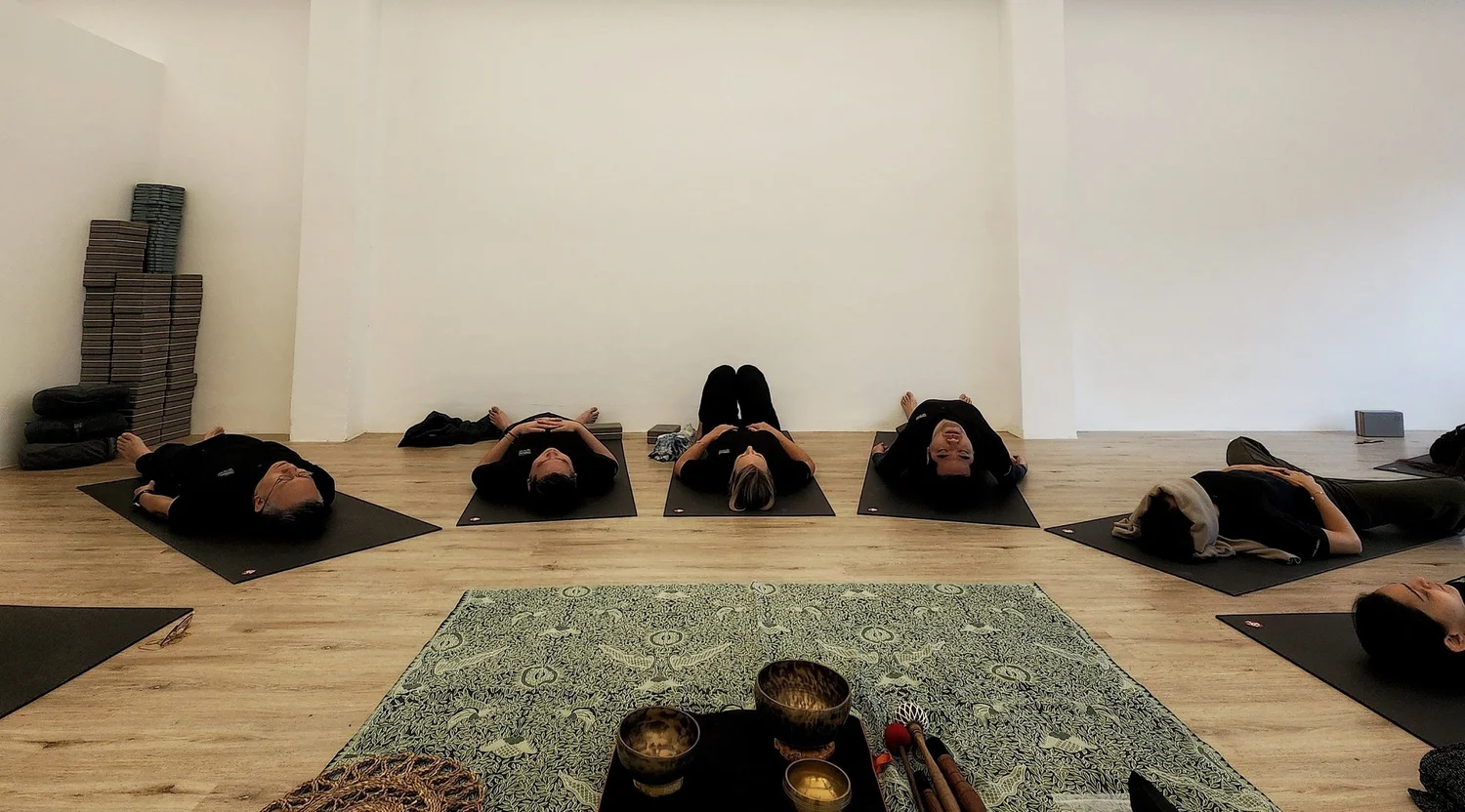 Gentle Walks - Forest Bathing & Wellness Programs Singapore