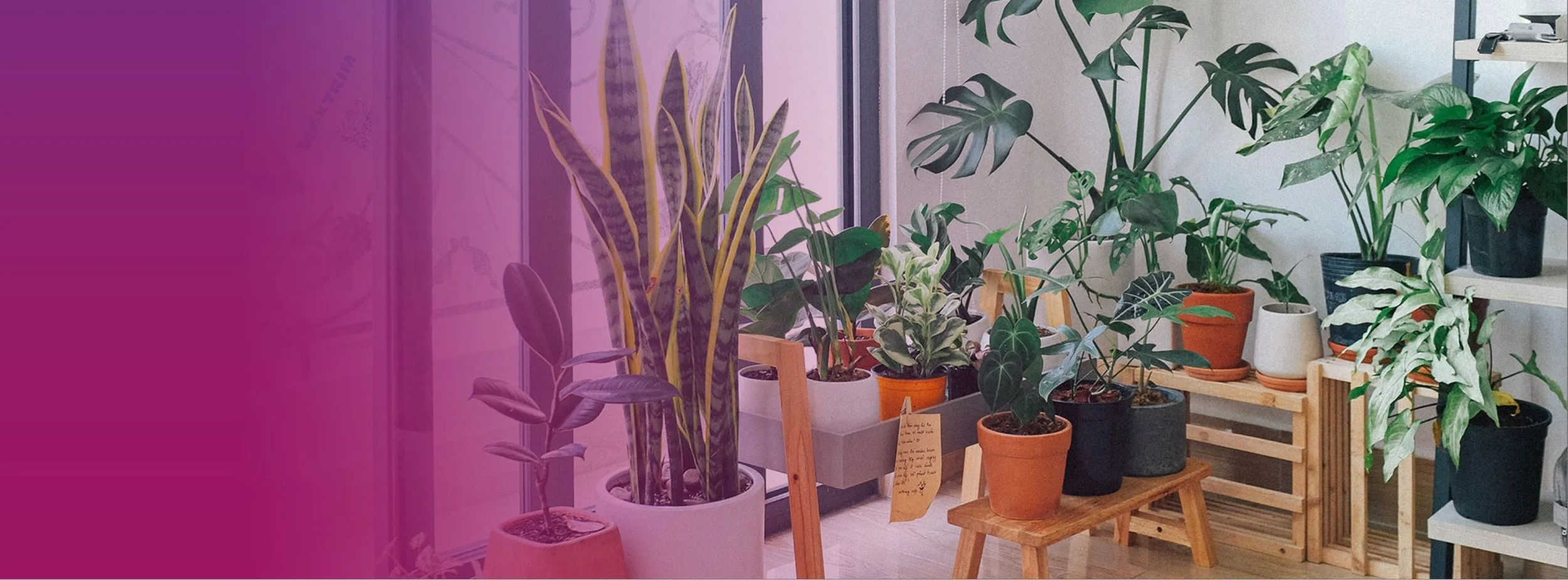 Reside Global Alternative Accomodations