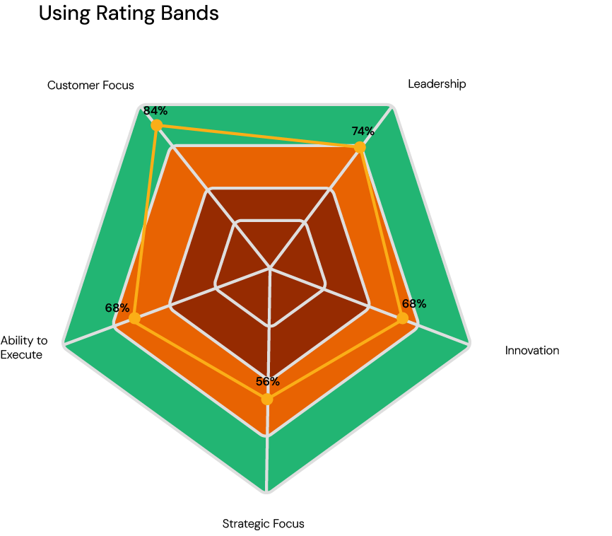 Show Strengths & Gaps with Spider Charts | Brilliant Assessments