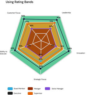 Show Strengths & Gaps with Spider Charts | Brilliant Assessments