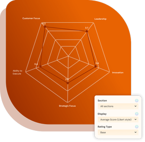 Show Strengths & Gaps with Spider Charts | Brilliant Assessments