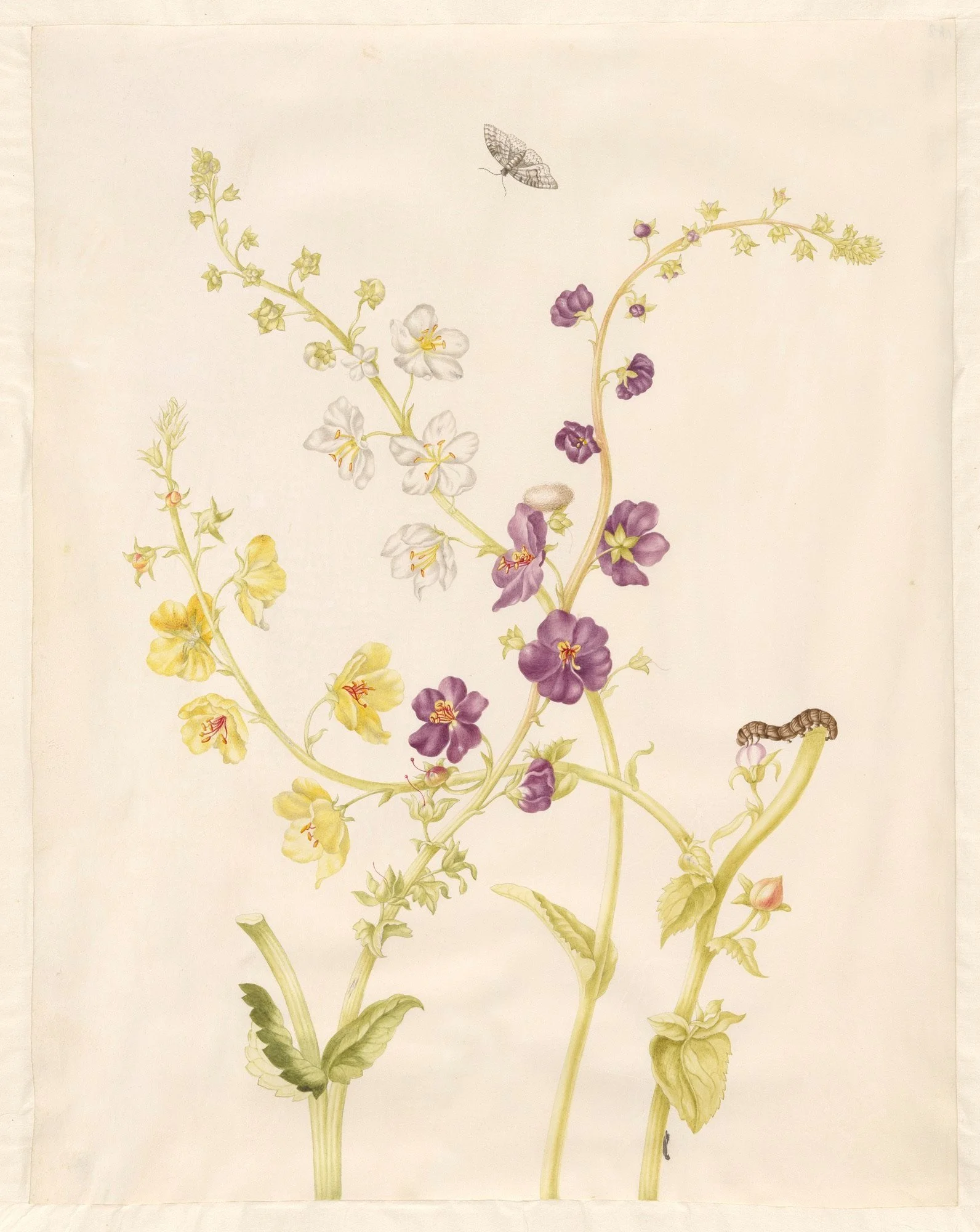 Art Newsletter | Trois Crayons