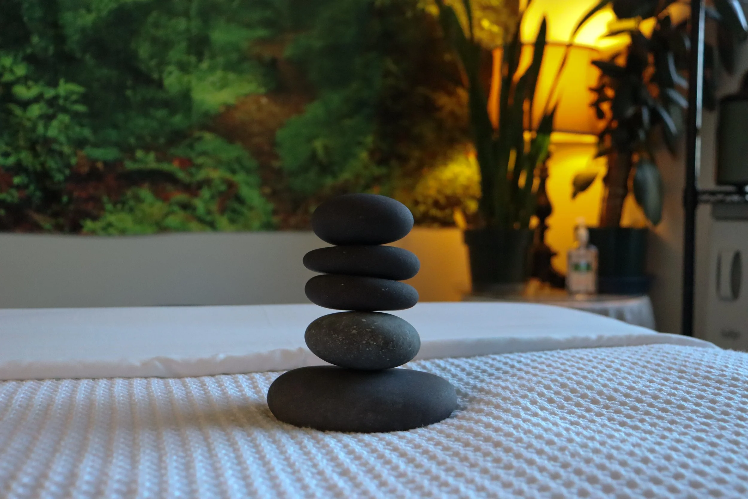 Membership Form — Ogden Massage for Pain Relief