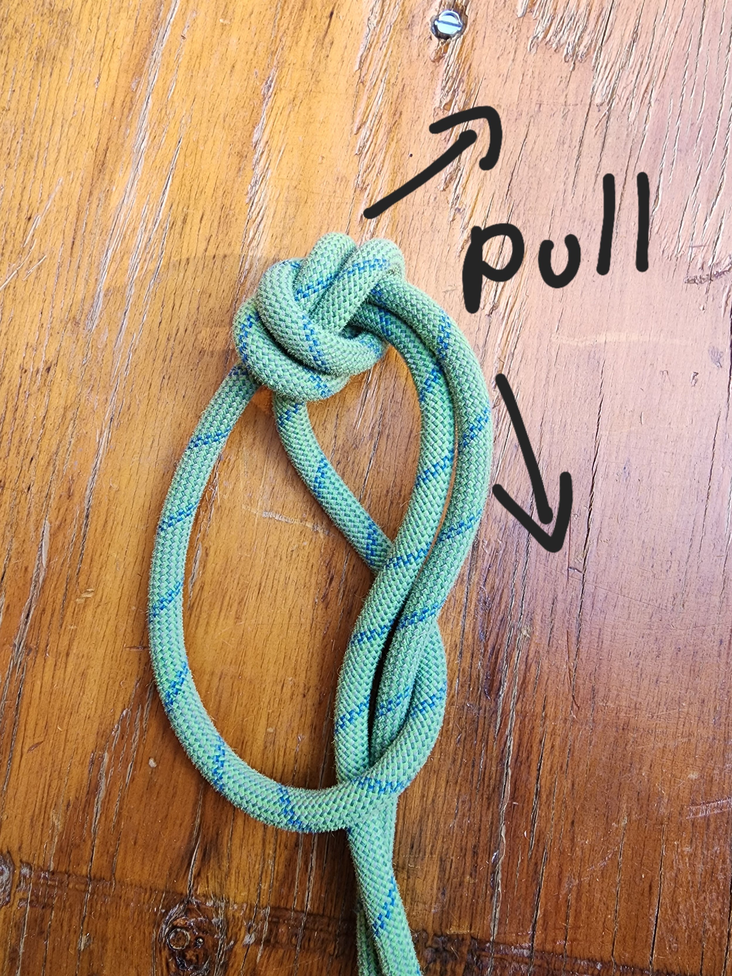 The Bowline on a Bight, an Introduction — Climb with Adam