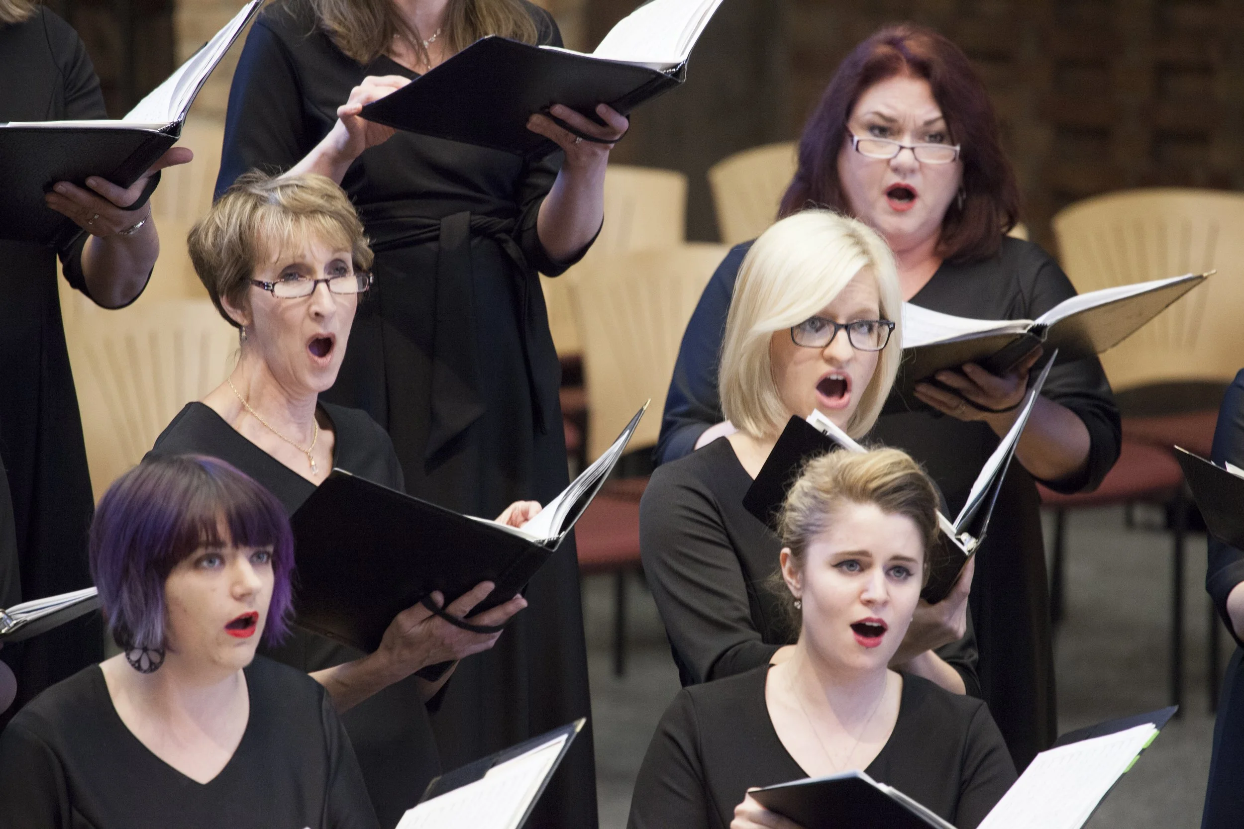 Our Story — Singers in Accord