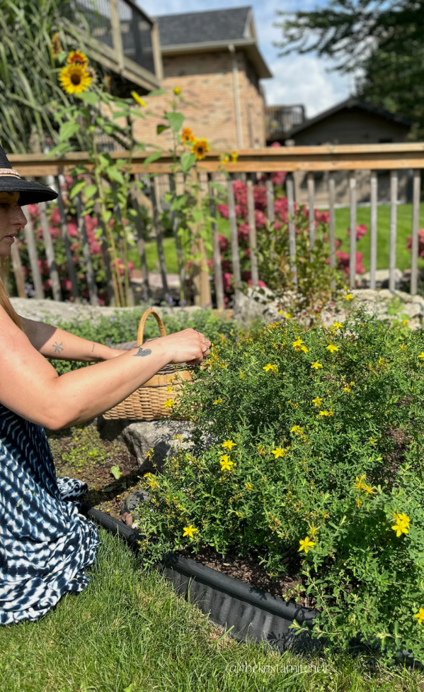 Blog — Krista Mitchell