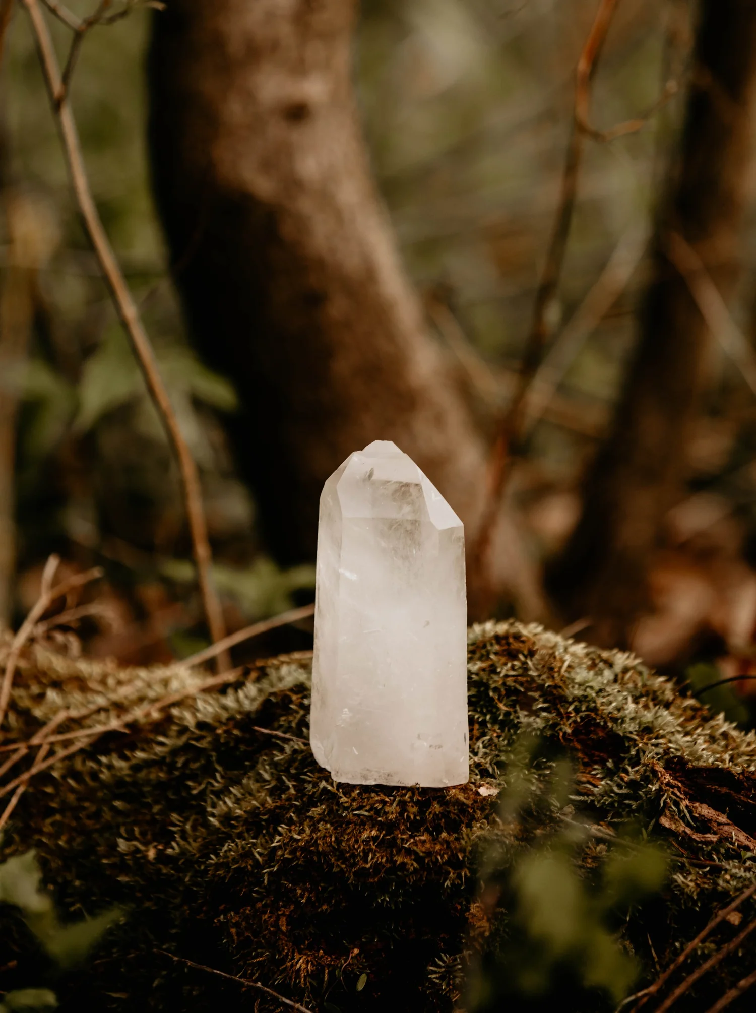 The 7 Caves of Crystal Alchemy — Krista Mitchell