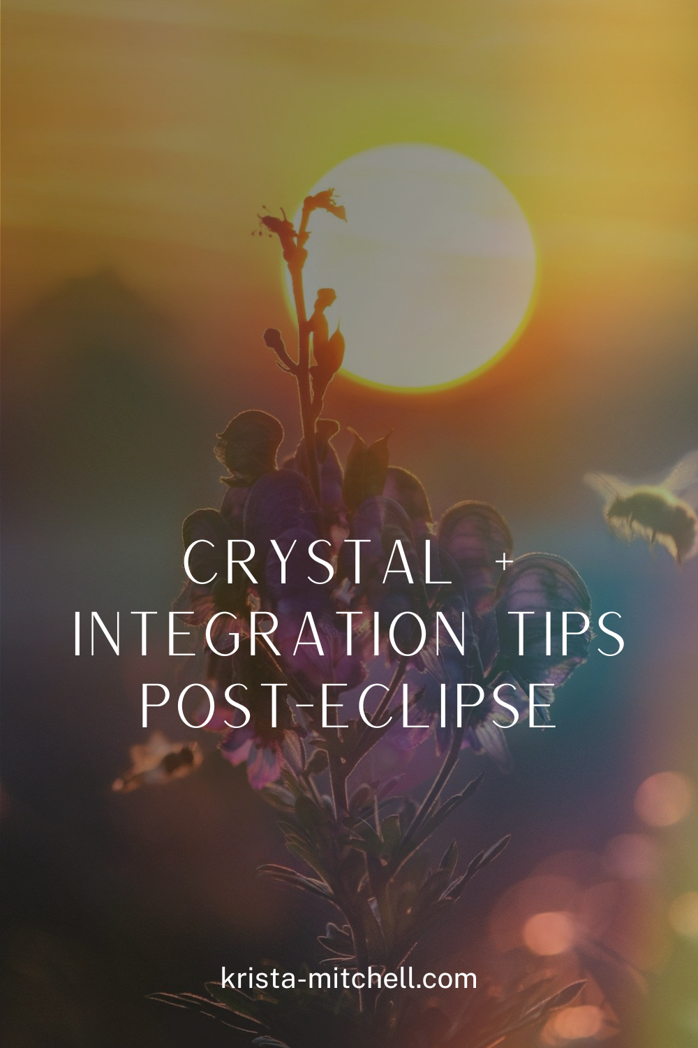 Blog — Krista Mitchell