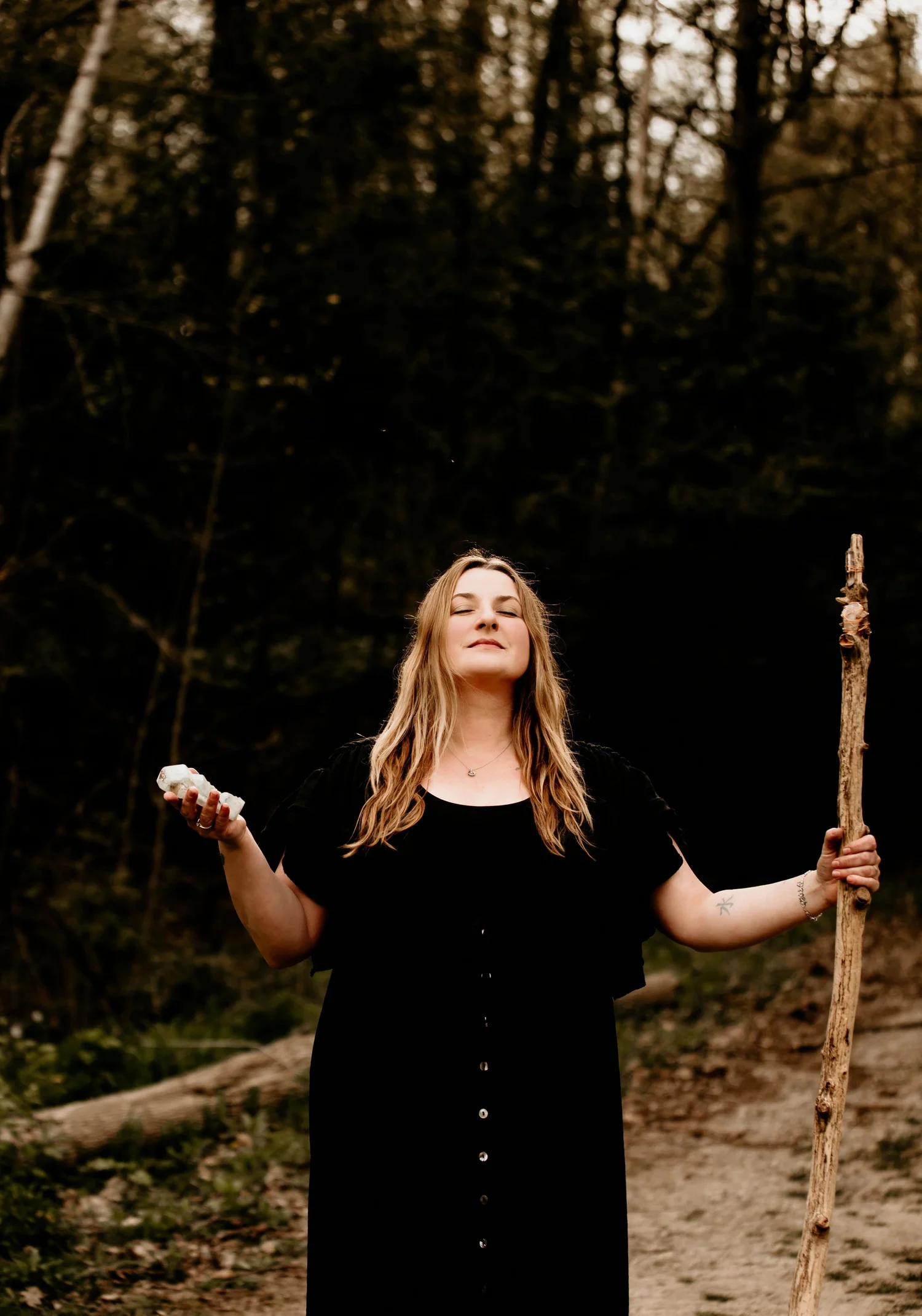 The 7 Caves of Crystal Alchemy — Krista Mitchell