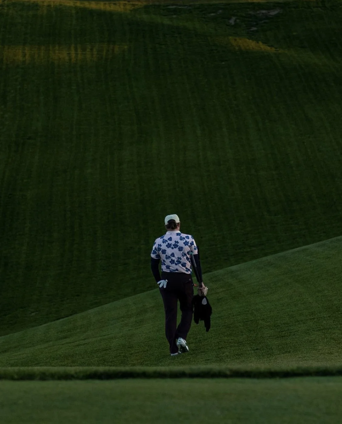 Dave Fink Golfs