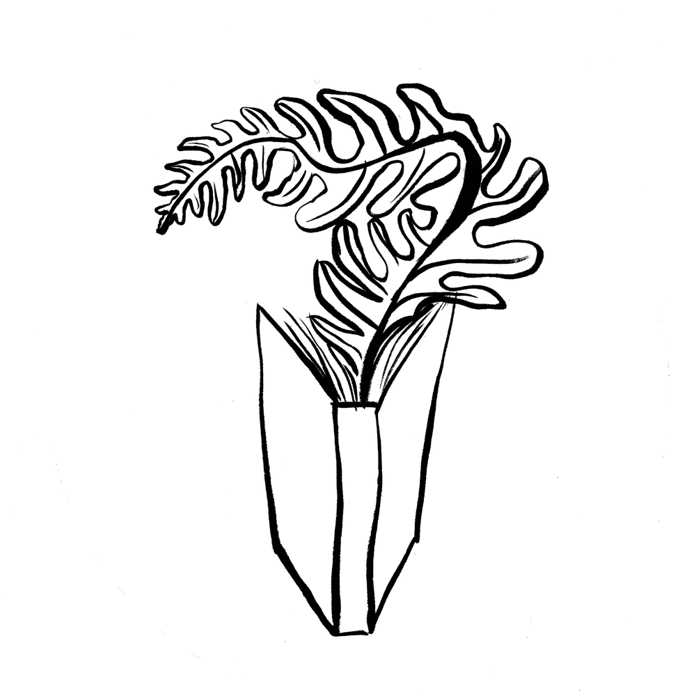 Abby Ranger | Editing and Coaching