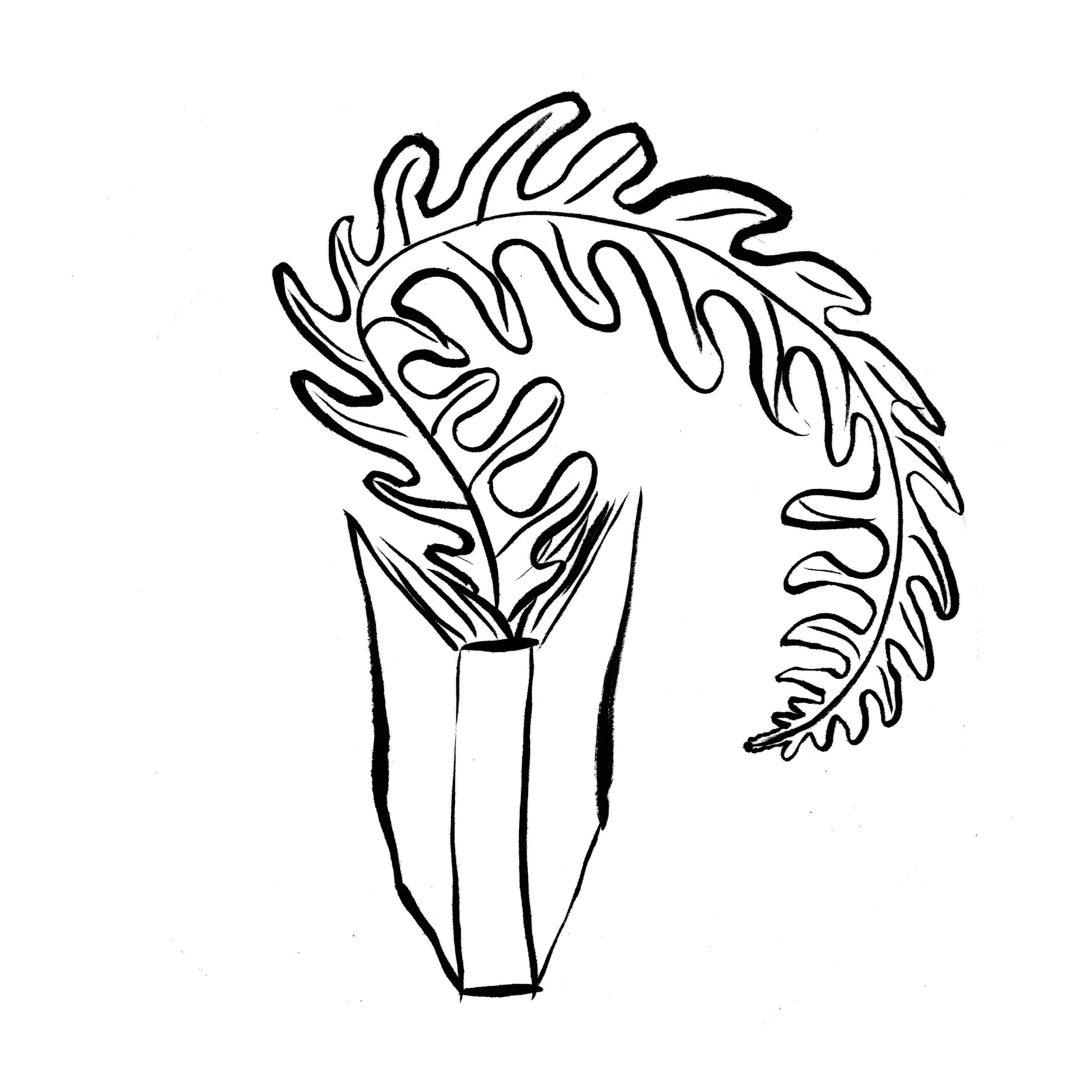 Abby Ranger | Editing and Coaching