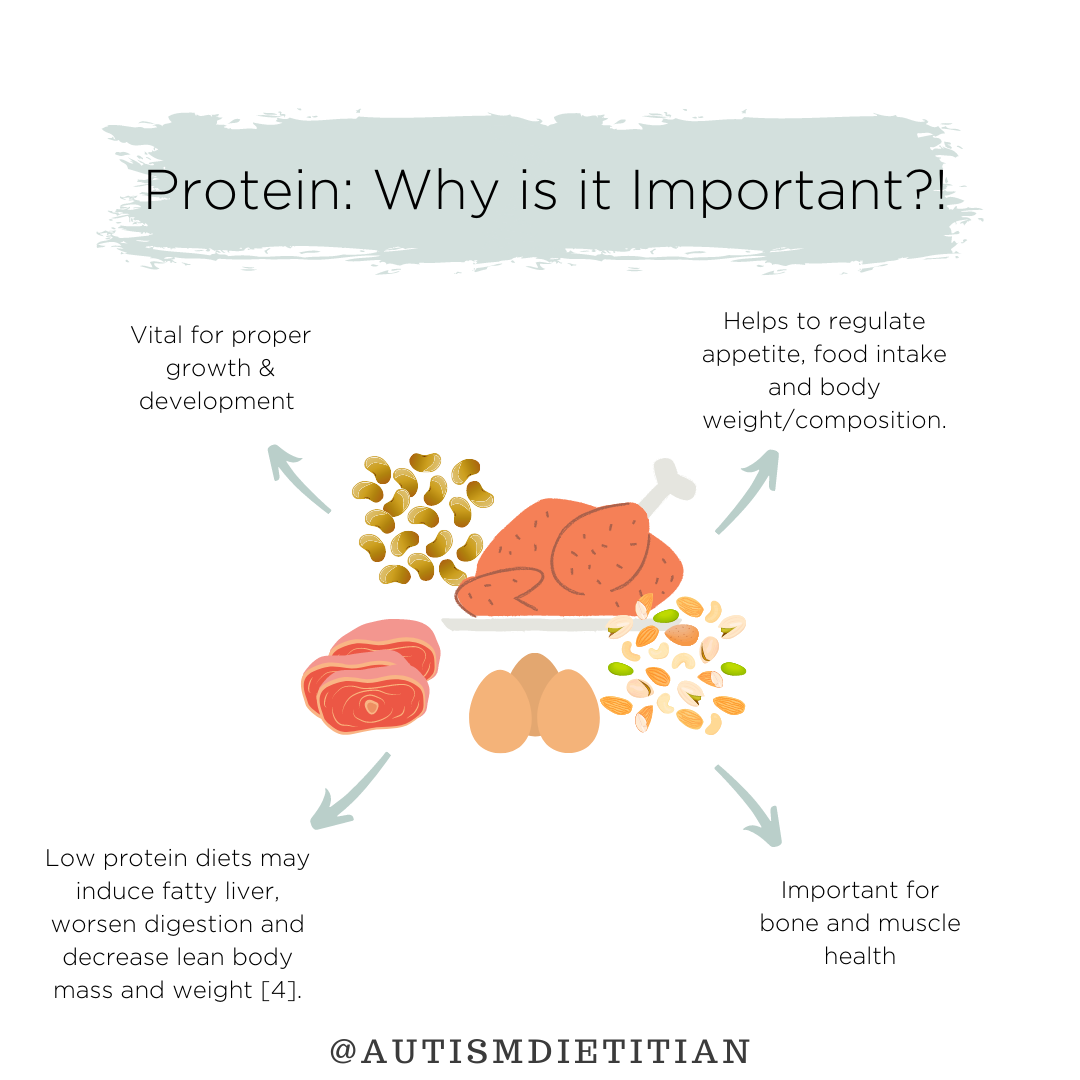 Protein | The Nourishing Autism Collective
