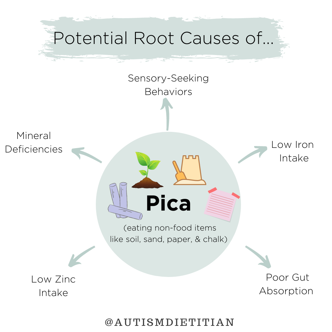 Pica | The Nourishing Autism Collective