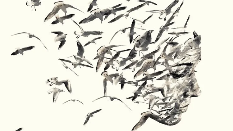 Orphan Dreamer Saga Book Series — J Nell Brown