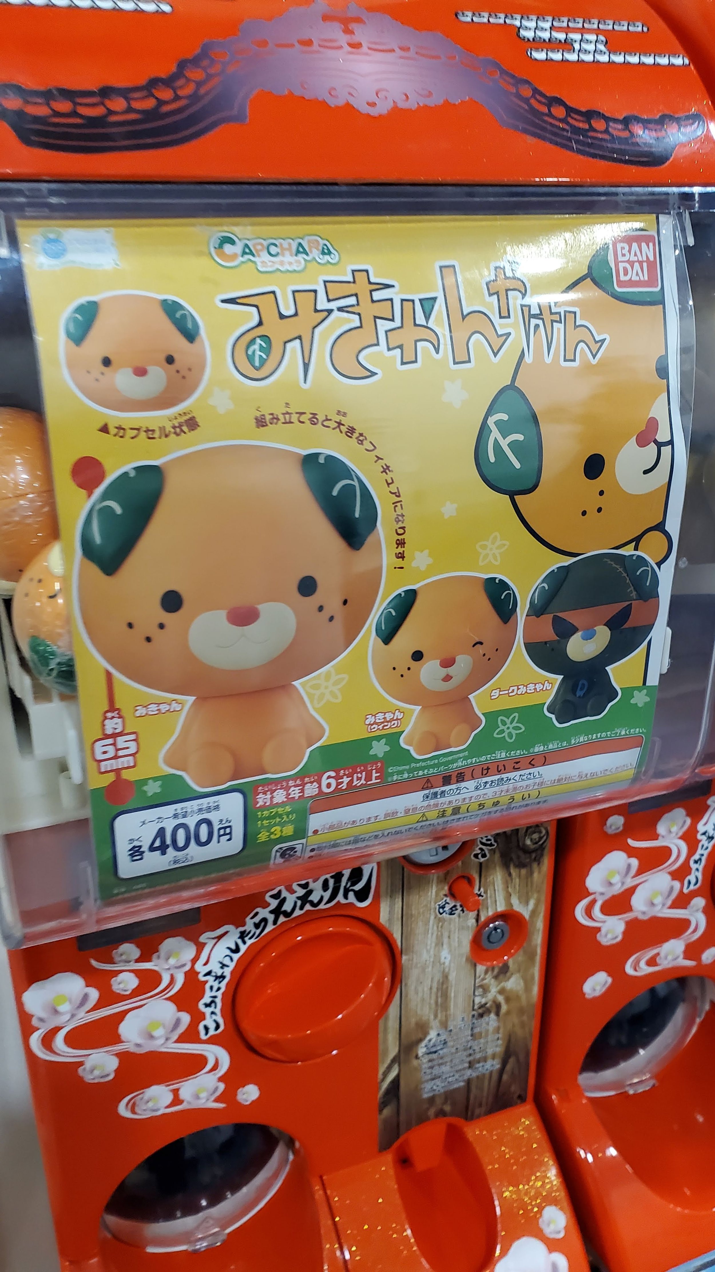 What to eat in Matsuyama city- Ehime Japan
