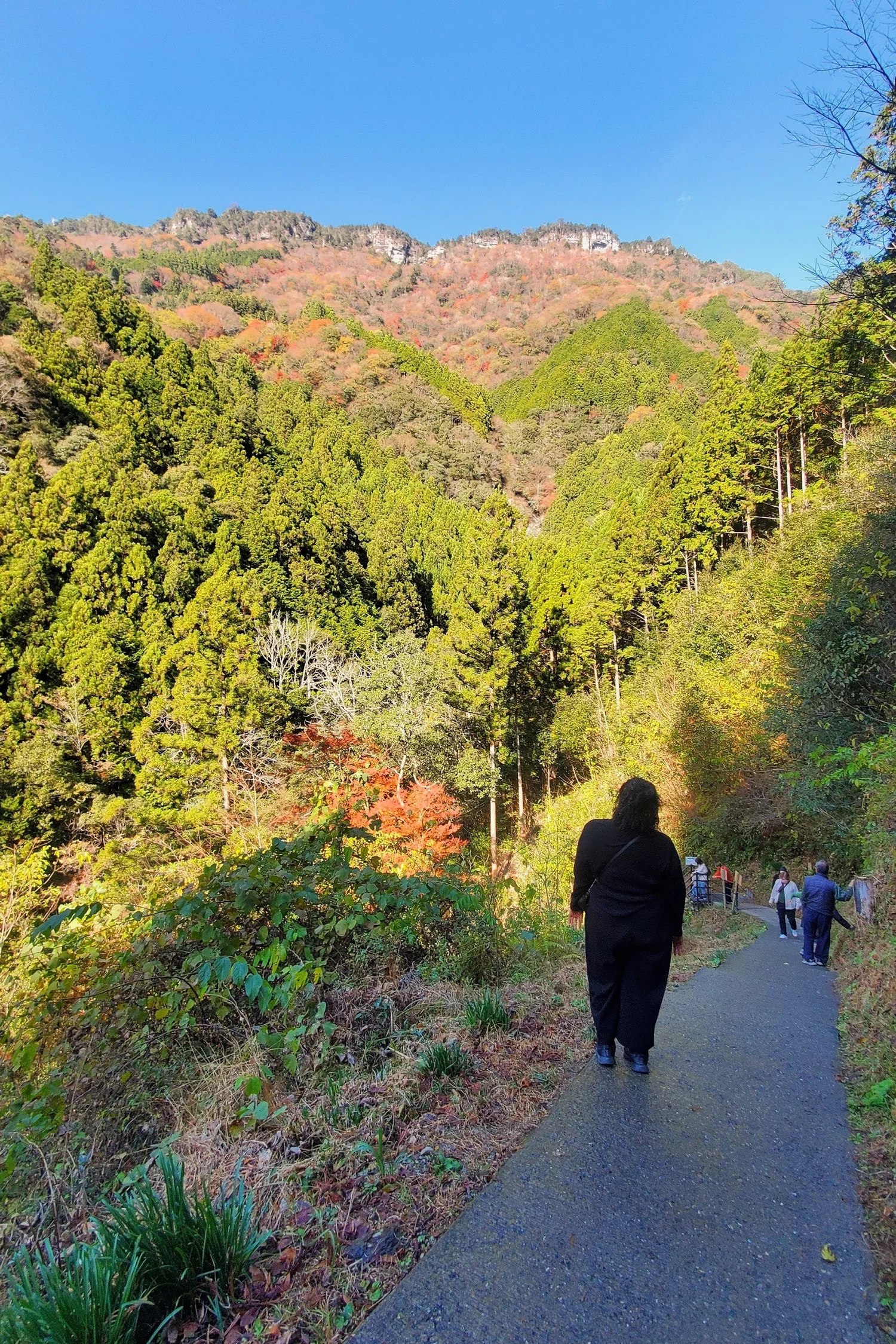Nikobuchi: Surreal beauty of Niyodo River
