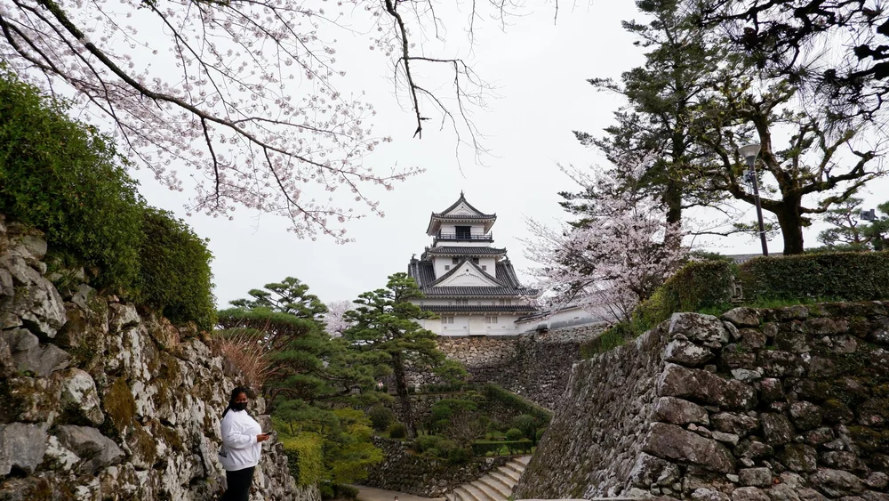 12 Best Things to do in Kochi City, Japan — Frolicking Wanderer