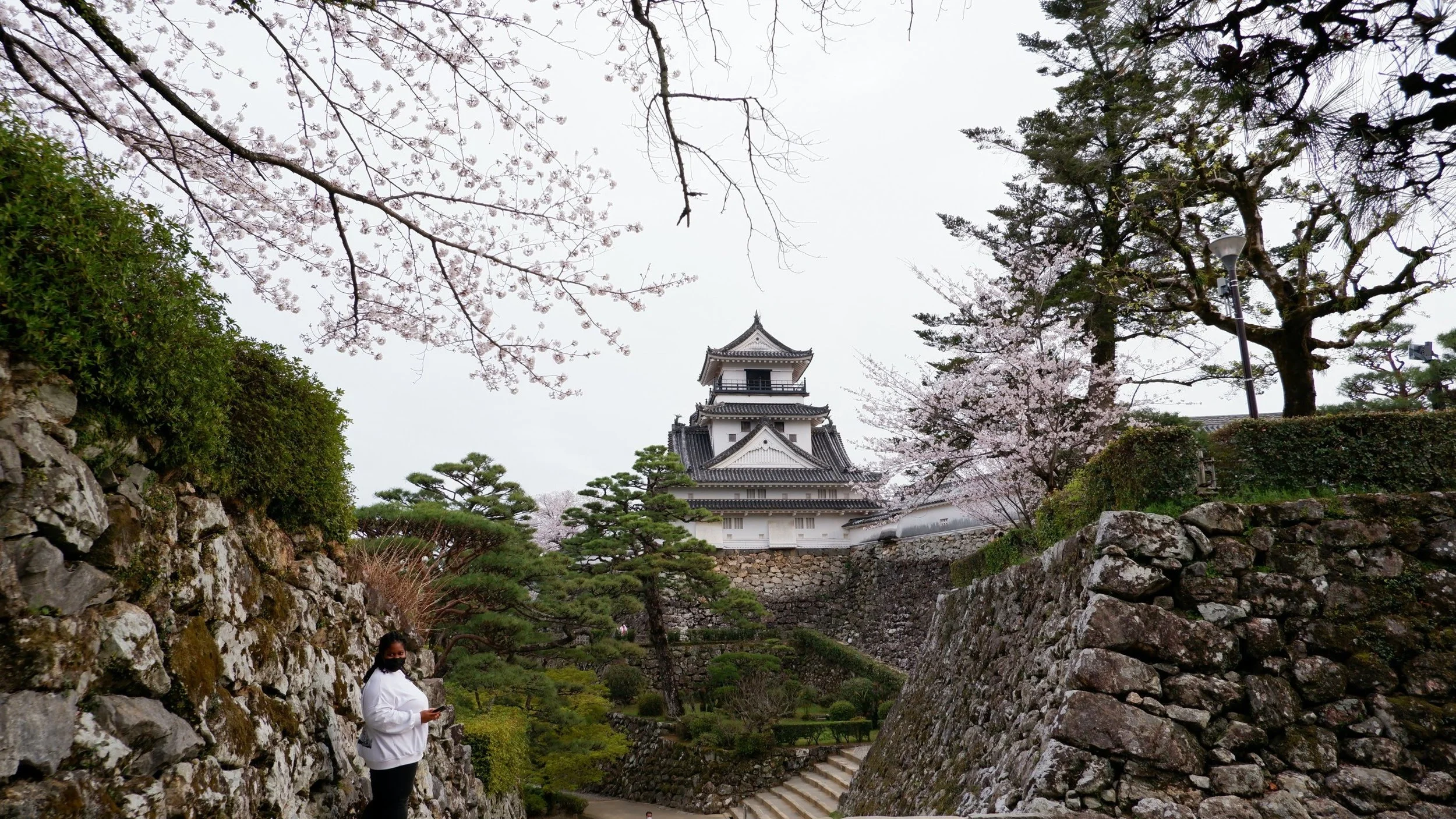 12 Best Things to do in Kochi City, Japan — Frolicking Wanderer