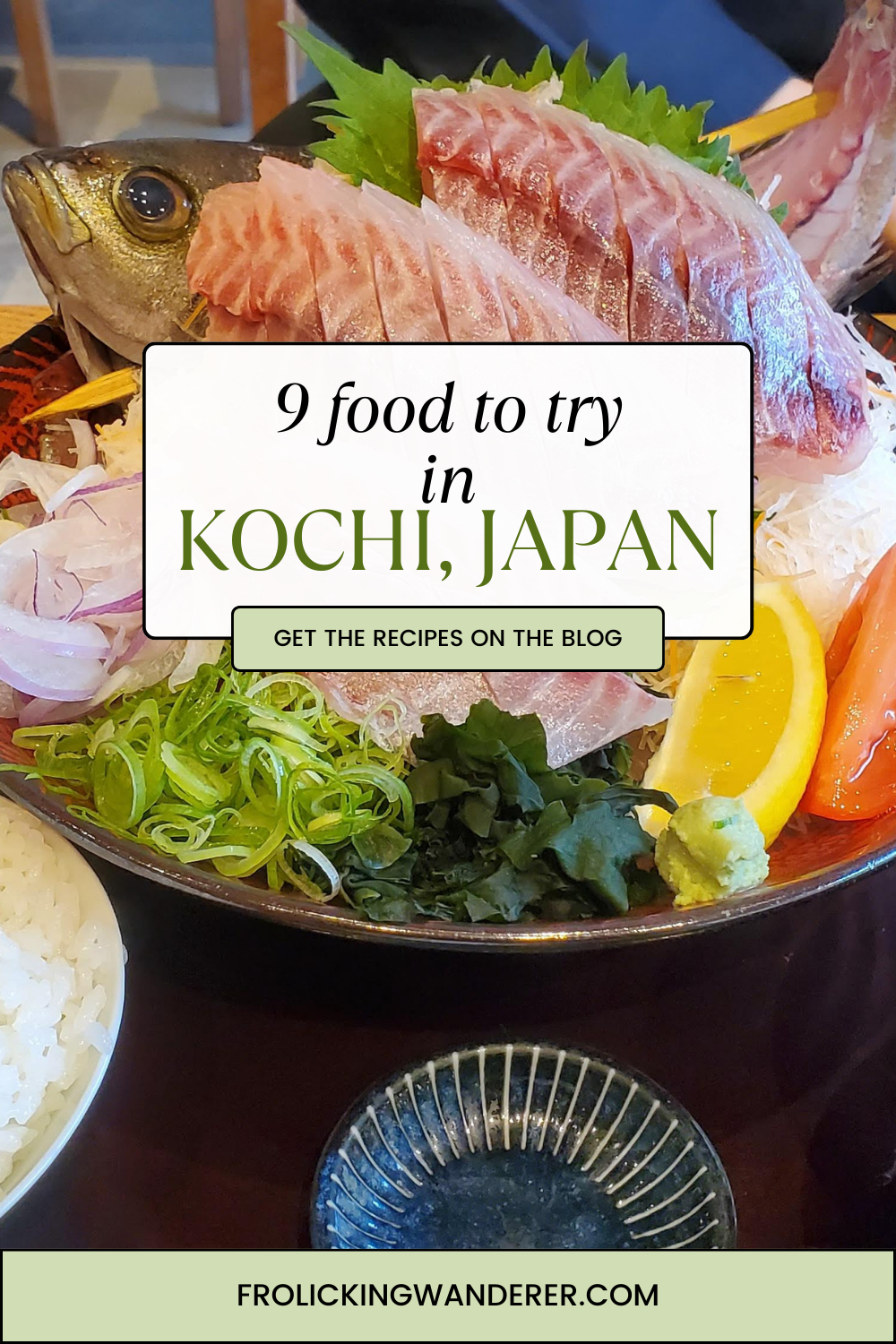 9 Must Try Local Food in Kochi, Japan