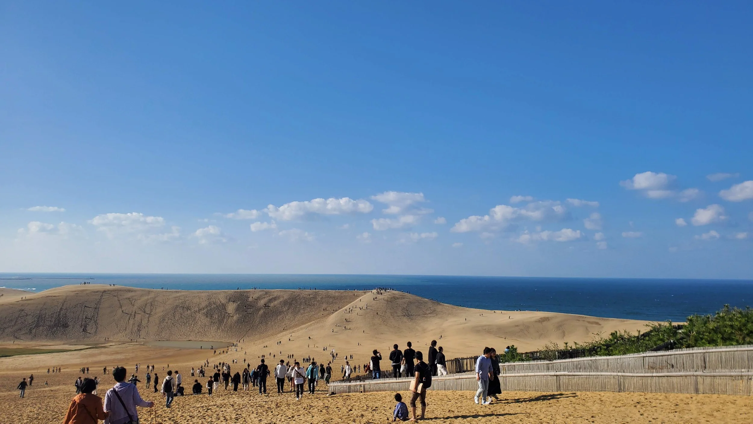 How to Enjoy Tottori Sand Dune