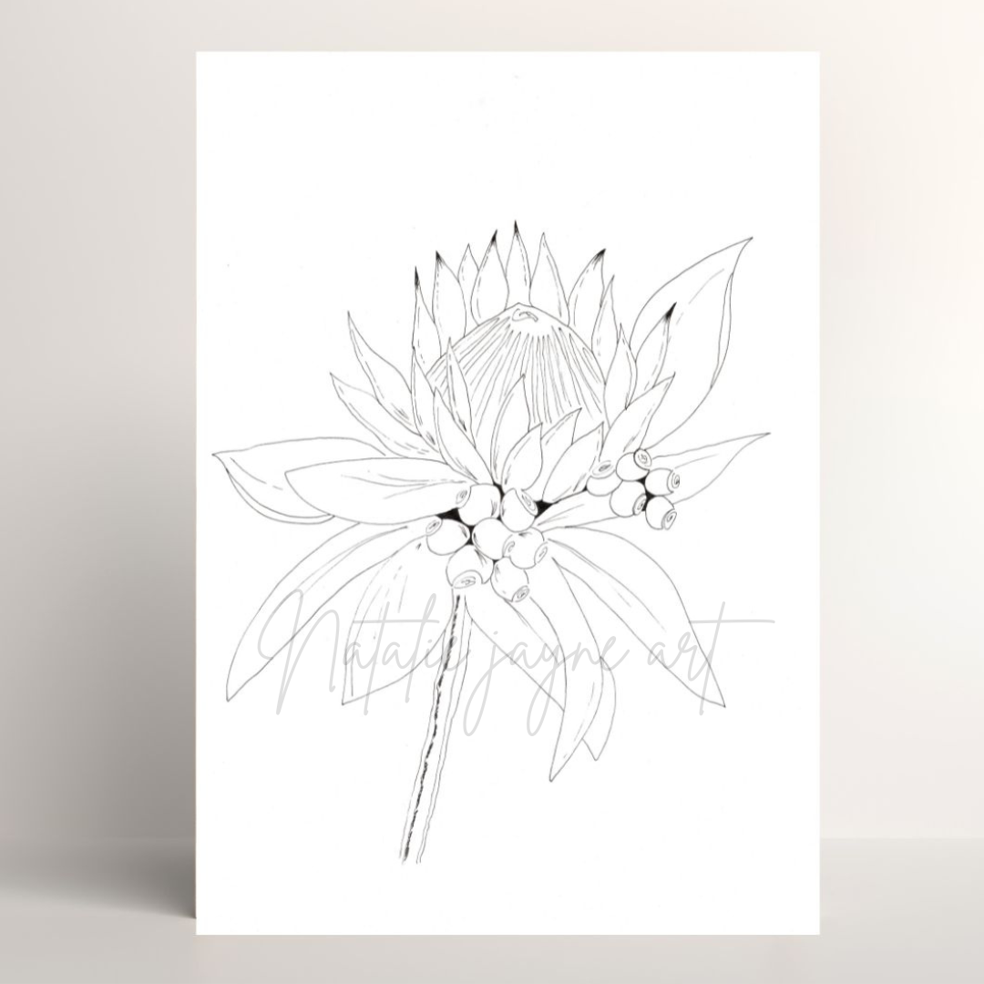 In Bloom — Downloadable Colouring Book — Natalie Jayne Art