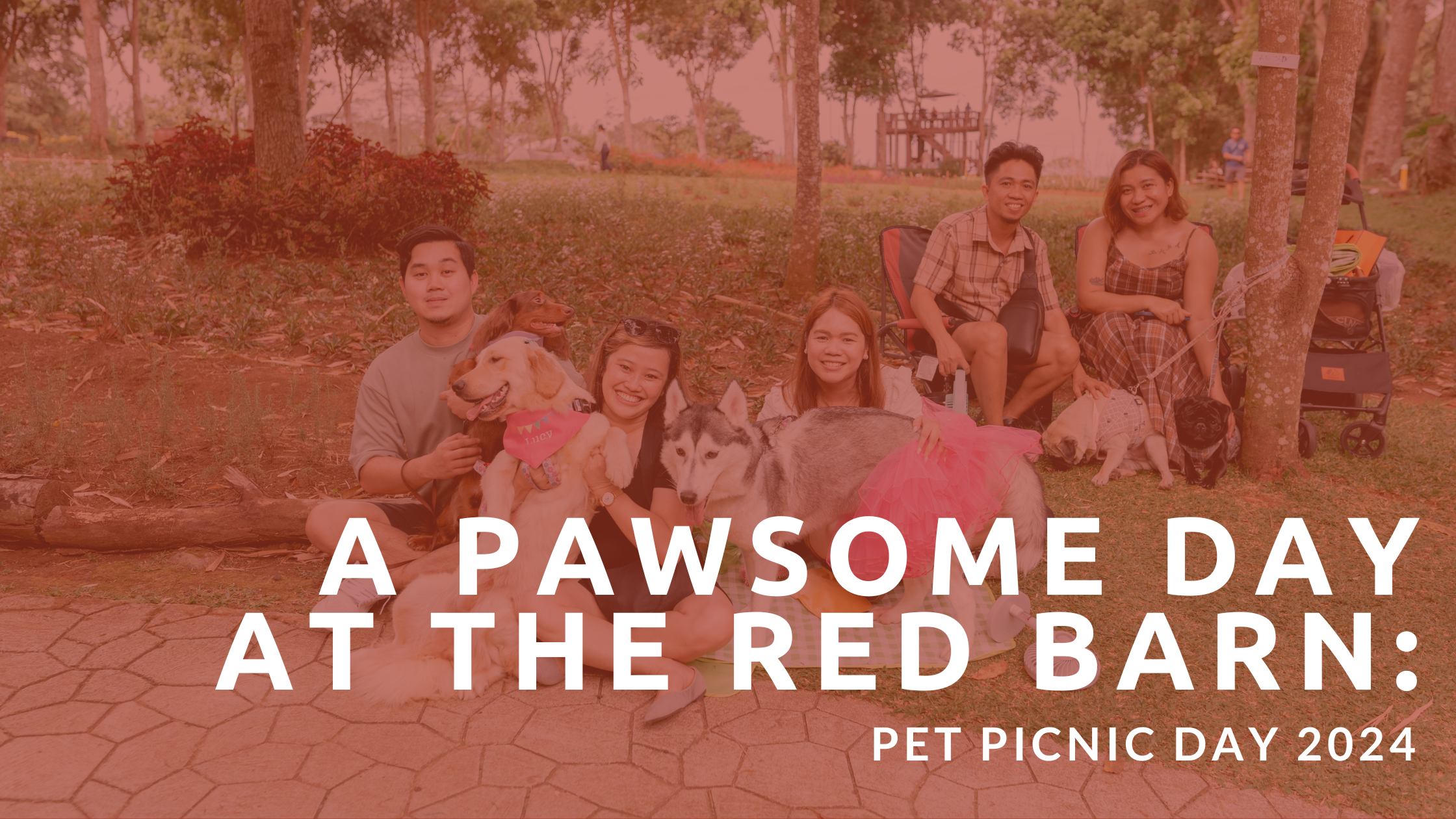 A Pawsome Day at The Red Barn: Pet Picnic Day 2024! — The Red Barn ...
