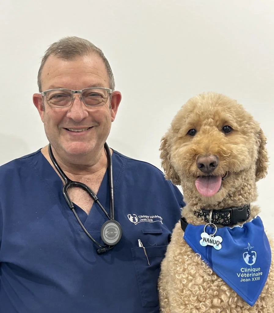 Notre équipe — Clinique Vétérinaire Jean XXIII