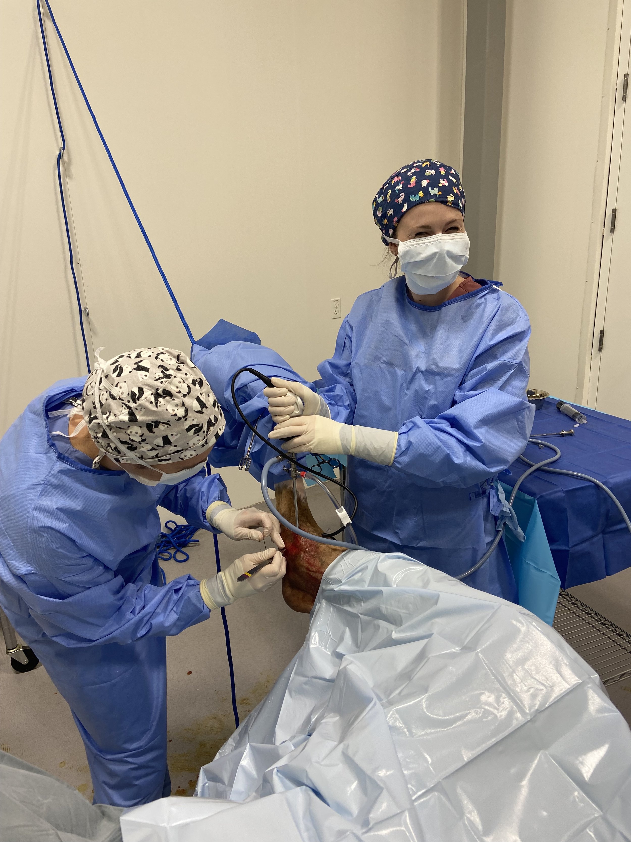 For Vet Students — Spotlight - Equine Vet Practice in Canada