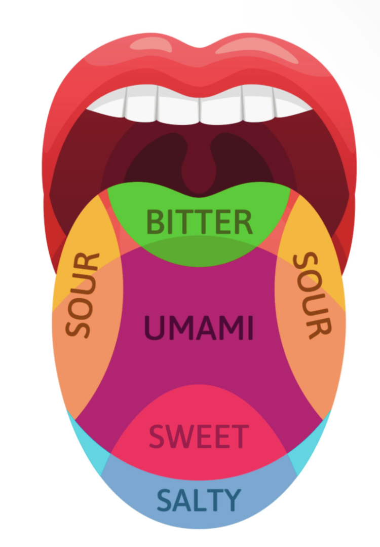 A Map of the Tongue — NABI MAGAZINE