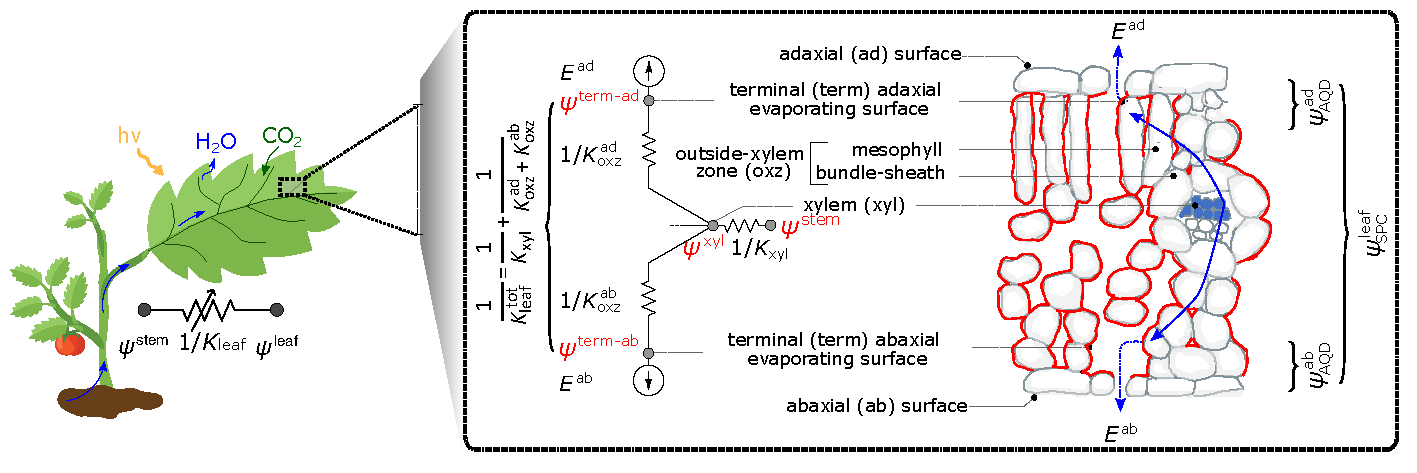 Research — StroockGroup