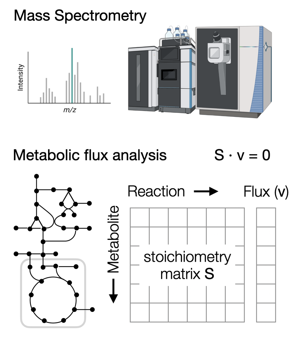 Research — Shen Lab @ UPenn